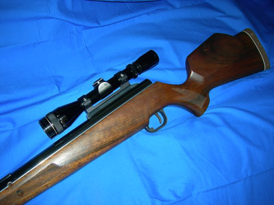 Beeman Crow Magnum Question – Talonairgun